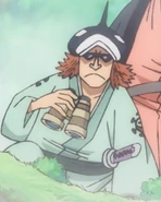 Shachi (One Piece) | All Worlds Alliance Wiki | Fandom