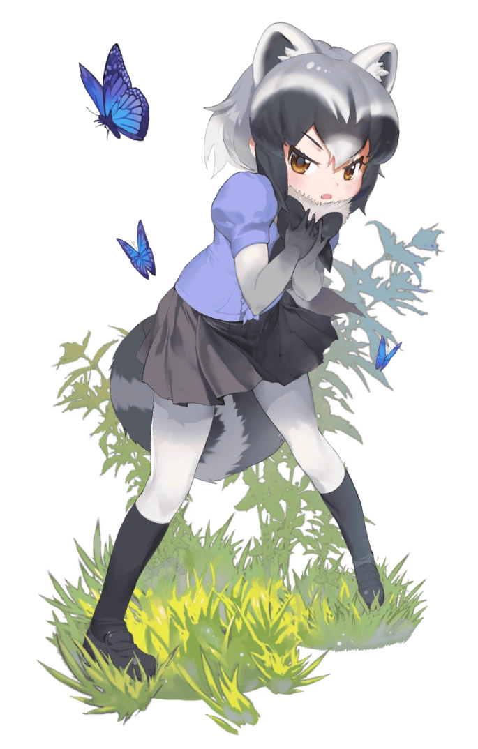 Anime Raccoon Girl