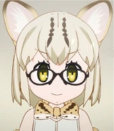 Margay | All Worlds Alliance Wiki | Fandom