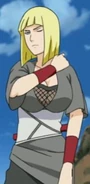 Samui (Naruto) | All Worlds Alliance Wiki | Fandom