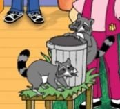 North American Raccoon | Animals Wiki | Fandom