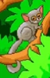Senegal Bushbaby | Animals Wiki | Fandom