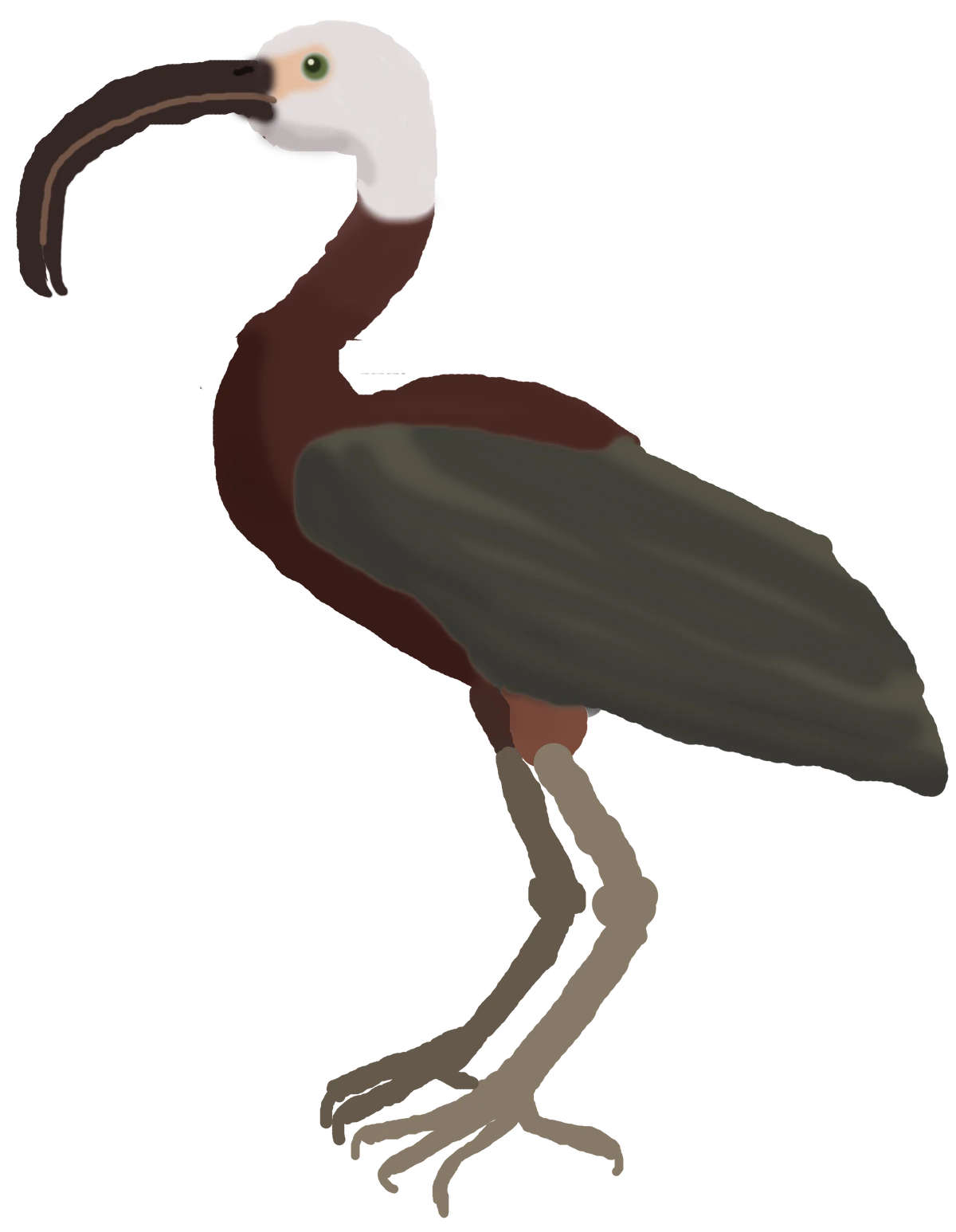 Michelle Hellstern | All Birds Wiki | Fandom
