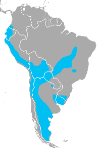 Colocolo | All Birds Wiki | Fandom