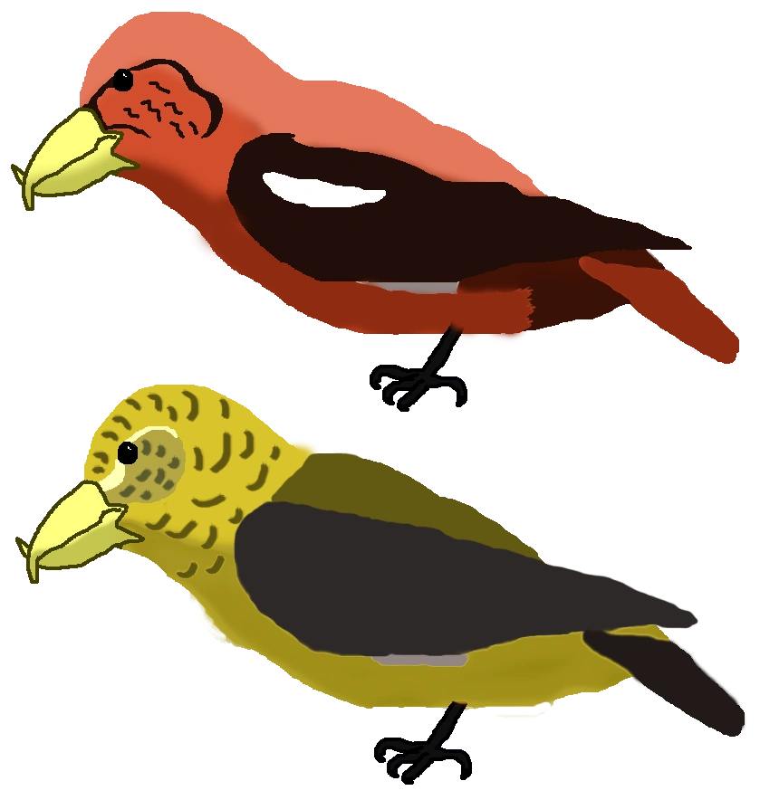 All Birds: Featured bird archives | All Birds Wiki | Fandom