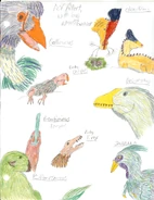 Michelle Hellstern | All Birds Wiki | Fandom