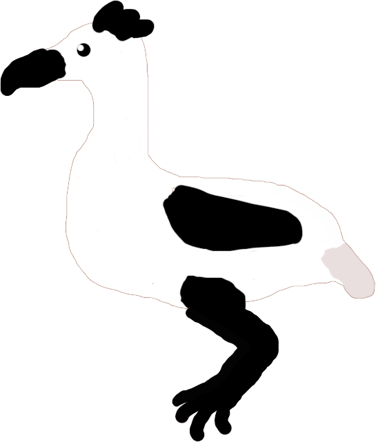 List of made-up species of birds | All Birds Wiki | Fandom