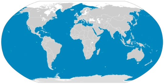Fin Whale | All Birds Wiki | Fandom
