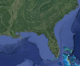 Skunk Ape | Cryptids and Myths Wiki | Fandom