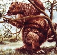 Mapinguari | Cryptids and Myths Wiki | Fandom