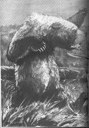 List of cryptozoological bears | Cryptids and Myths Wiki | Fandom