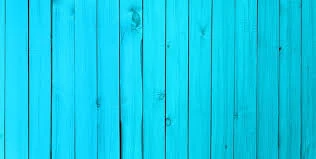 Blastoids | All dimensions Wiki | Fandom