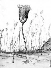 Blastoids | All dimensions Wiki | Fandom