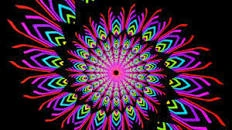 Extended Divergent Archverses | All dimensions Wiki | Fandom