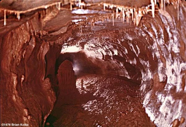 The Meat Cave | All dimensions Wiki | Fandom