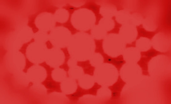 The Red Plain | All dimensions Wiki | Fandom