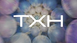 The Xeno Hierarchy | All dimensions Wiki | Fandom