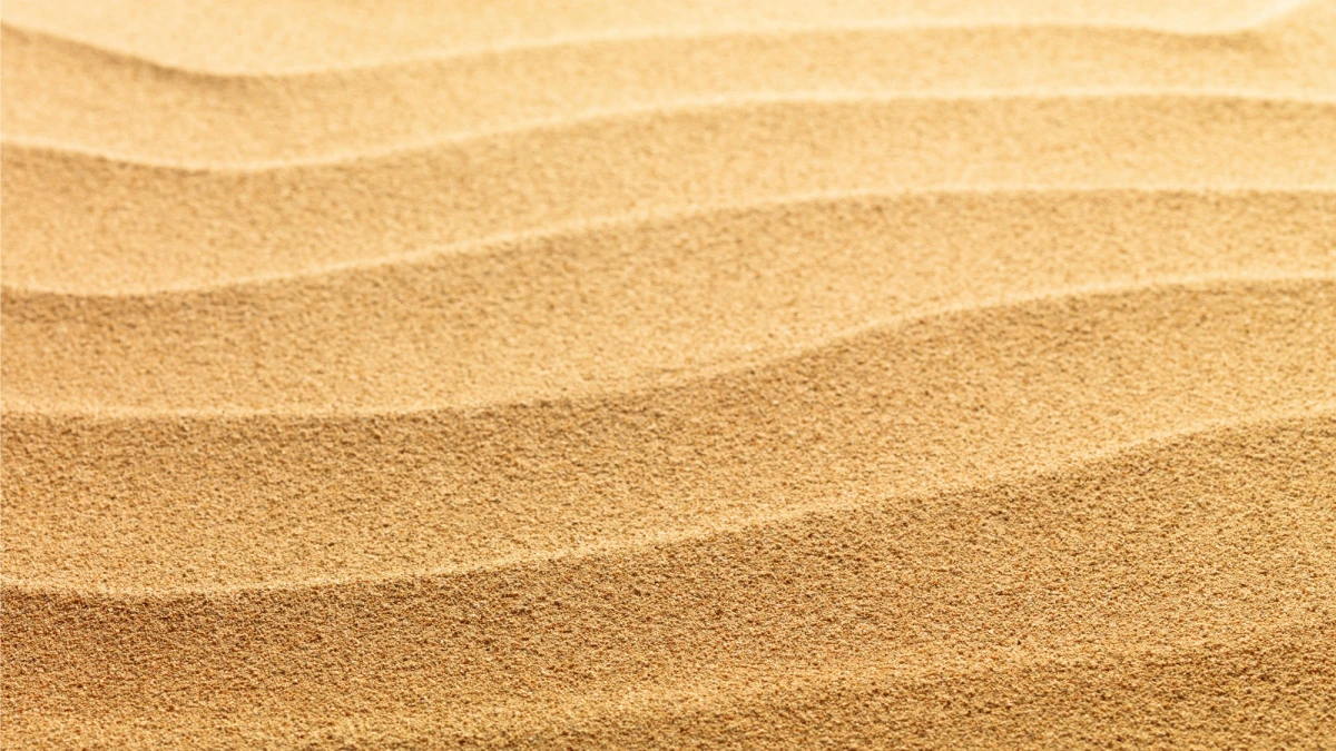 The Sand Theory | All dimensions Wiki | Fandom