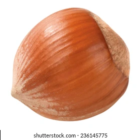 The Hazelnut | All dimensions Wiki | Fandom