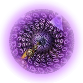 Hyperverse | All dimensions Wiki | Fandom