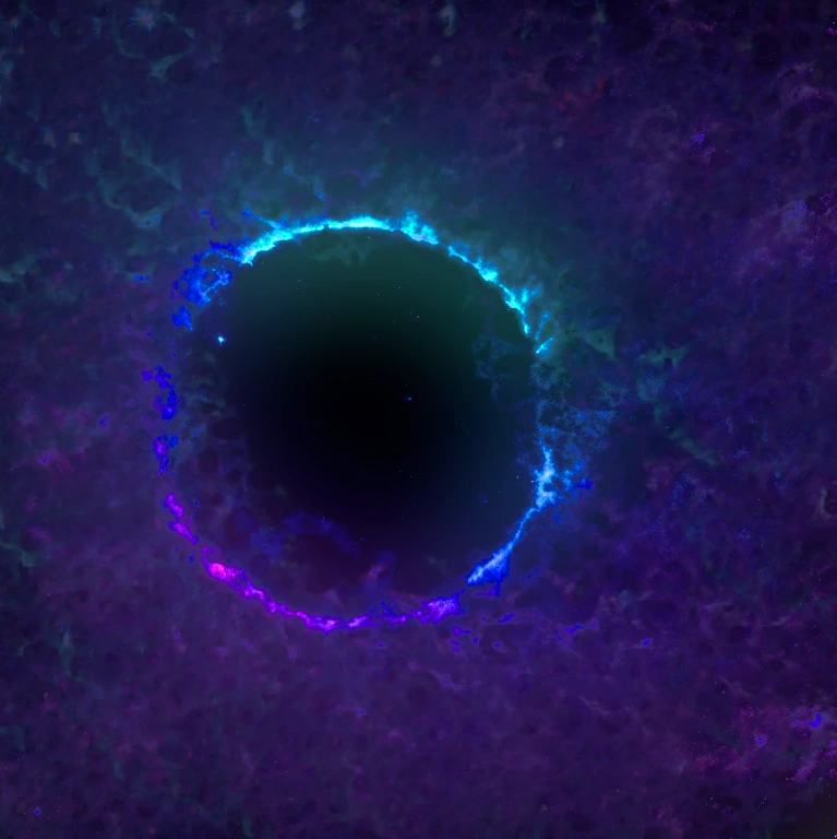 Transcendant barrier | All dimensions Wiki | Fandom