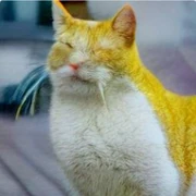 Uncle Gram | All dimensions Wiki | Fandom