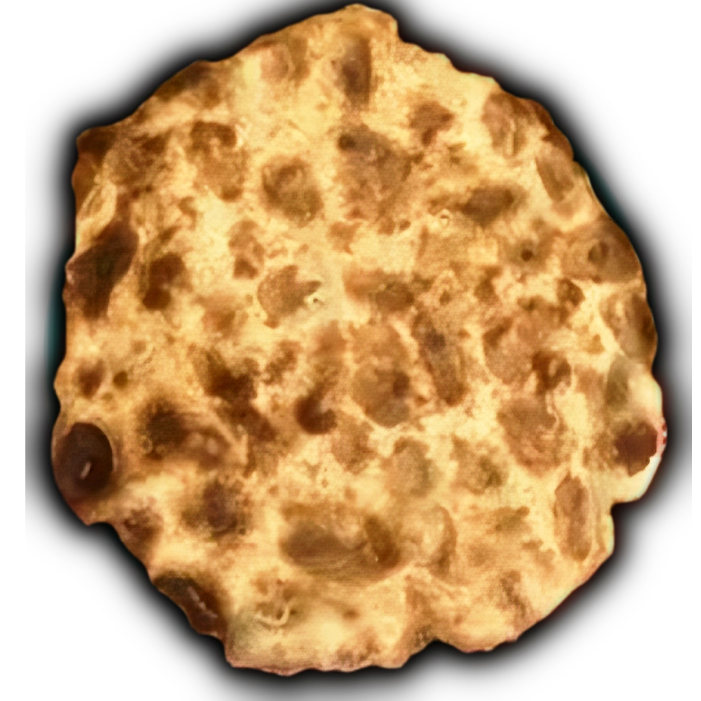 The Tafarnout | All dimensions Wiki | Fandom