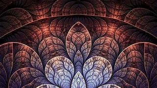 Extended Divergent Archverses | All dimensions Wiki | Fandom