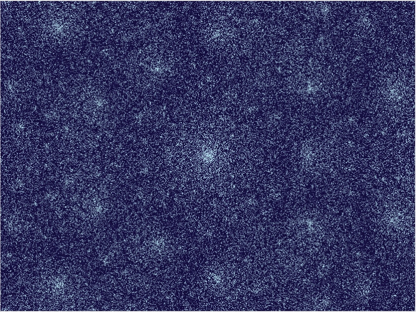 CNLS | All dimensions Wiki | Fandom