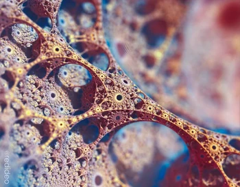 Extended Divergent Archverses | All dimensions Wiki | Fandom