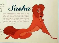 Adgth Sasha In Clothes