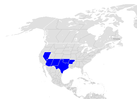 History of the Allied States | Allied States Wiki | Fandom