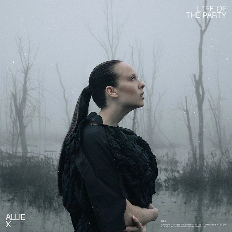 Life of the Party | Allie X Wiki | Fandom