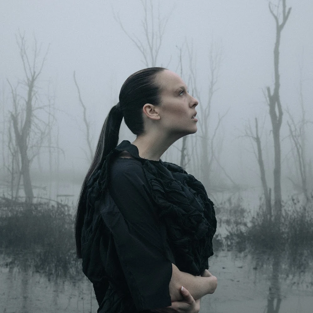 Social Media | Allie X Wiki | Fandom