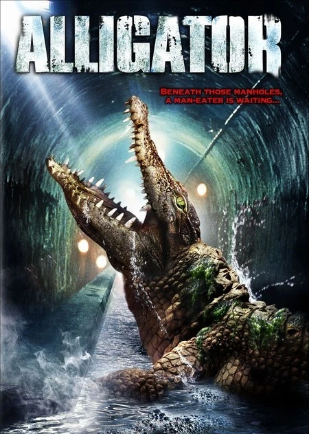 Alligator | Alligator Wiki | Fandom