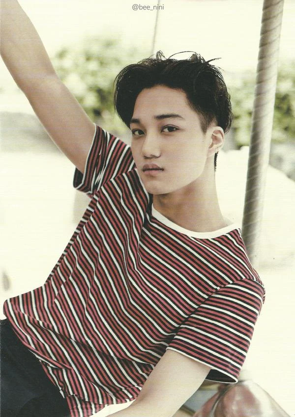 Kai | Wiki Kpopidols | Fandom