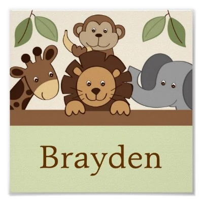 Brayden | AllNames Wiki | Fandom