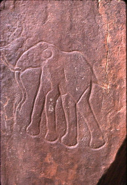 North African elephant | Allprehistoric animals Wiki | Fandom