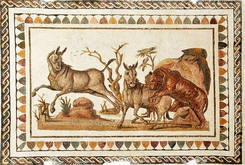 Atlas wild ass | Allprehistoric animals Wiki | Fandom