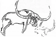 Giant African buffalo | Allprehistoric animals Wiki | Fandom