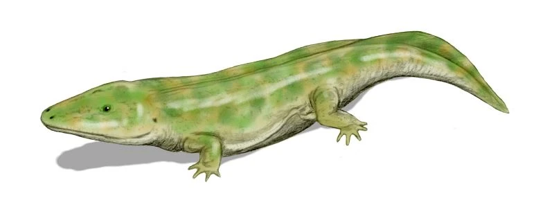 Eryosuchus | All Species Wiki | Fandom