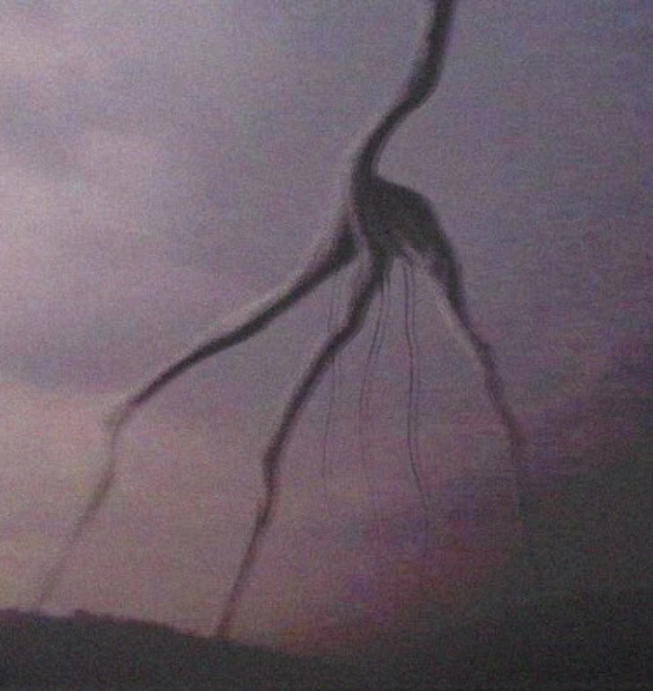 Remain Indoors | All Species Wiki | Fandom