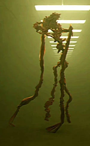 Prokaryotic lifeform | All Species Wiki | Fandom