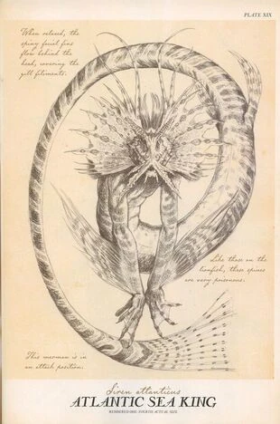 Atlantic Sea King | All Species Wiki | Fandom