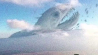 Behemoth (Trevor Henderson) | All Species Wiki | Fandom