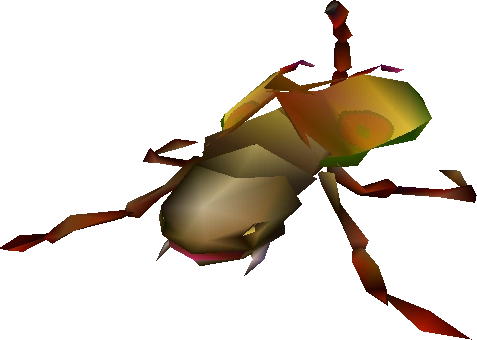 Fly Gallery | All Species Wiki | Fandom