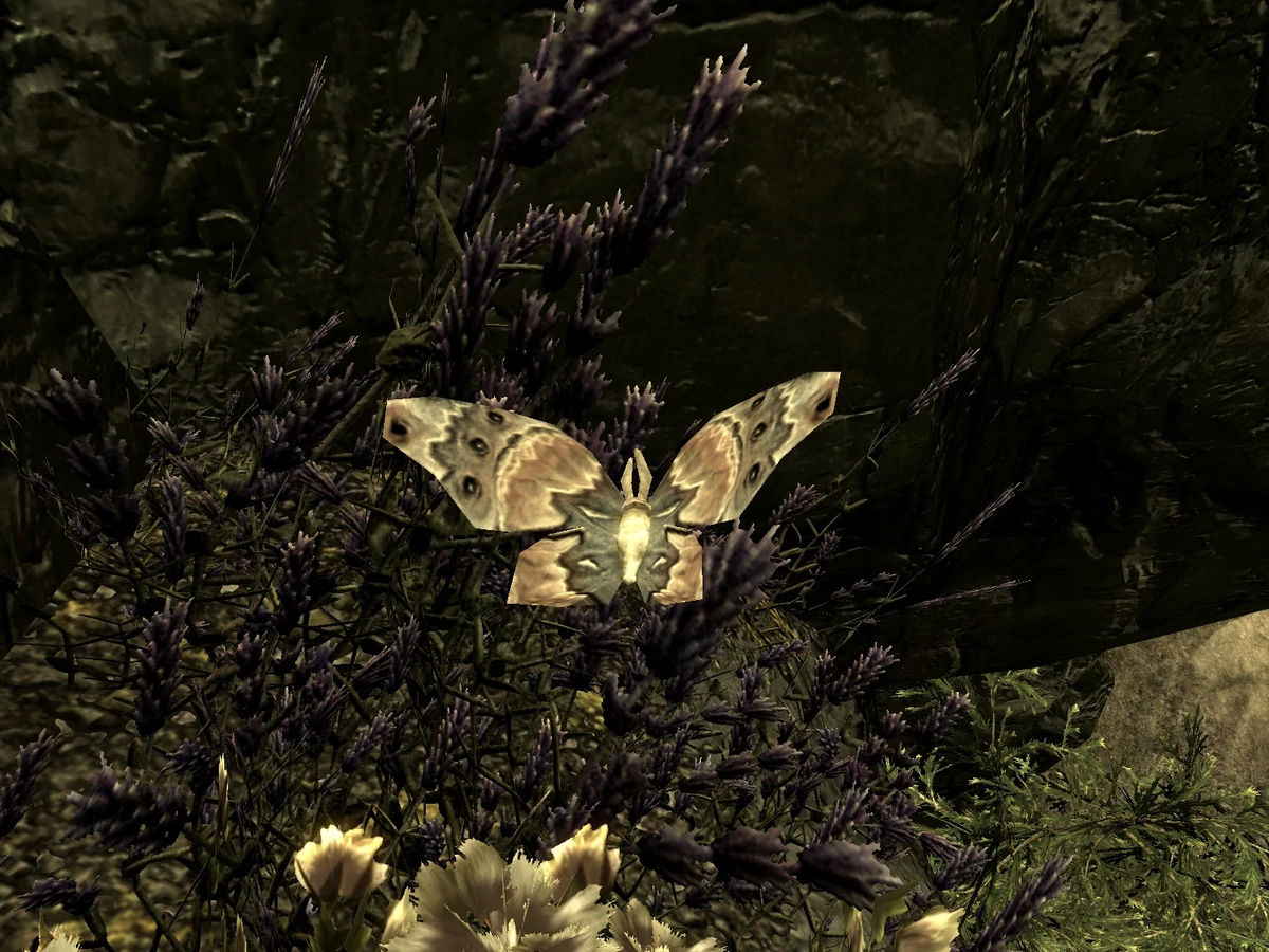 Ancestor Moth | All Species Wiki | Fandom