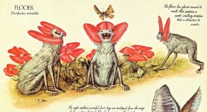 Flooer | All Species Wiki | Fandom