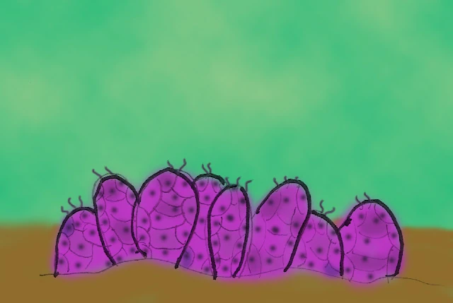 Swamp Beans | All Species Wiki | Fandom