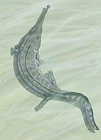 Prionosuchus | All Species Wiki | Fandom